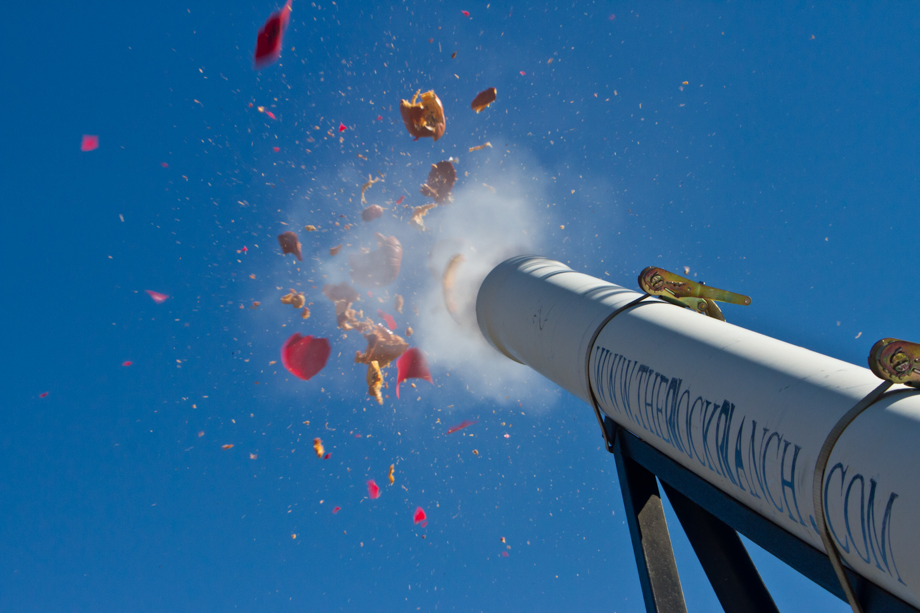 Family fun: National pumpkin destruction day