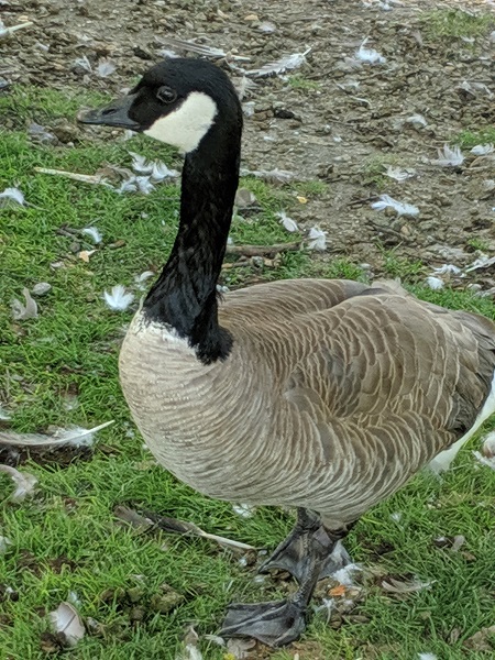 Southwest Idaho’s hidden gems, revealed